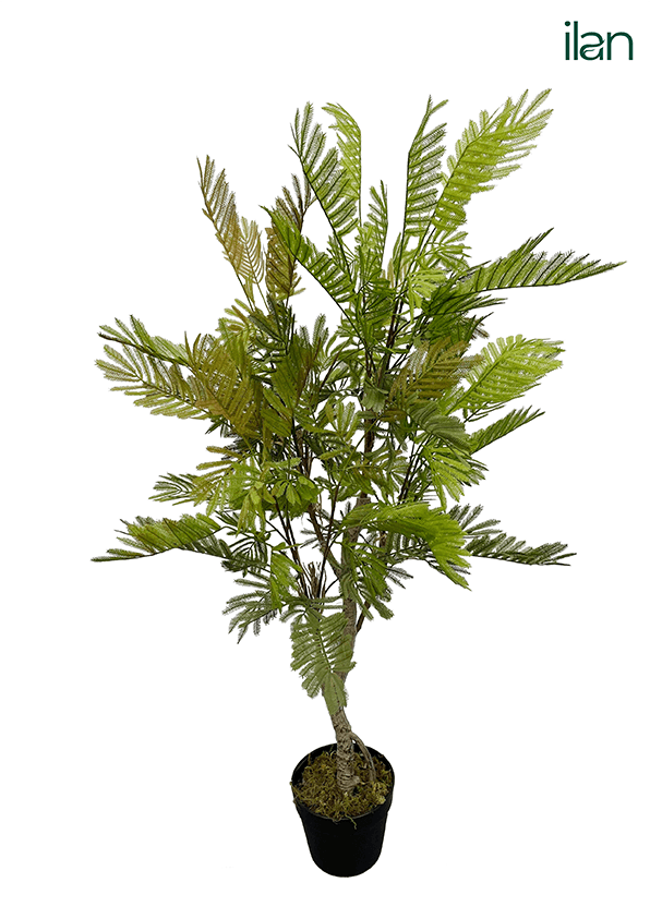 ARTIFICIAL MIMOSA PLANT-3.6FT – ILAN INDIA