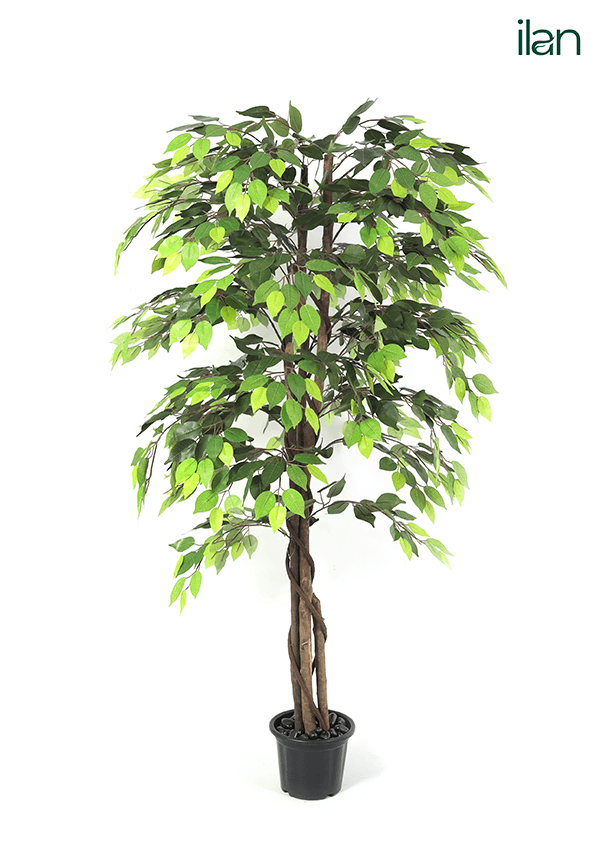 ARTIFICIAL MINI FICUS PLANT-4FT – ILAN INDIA